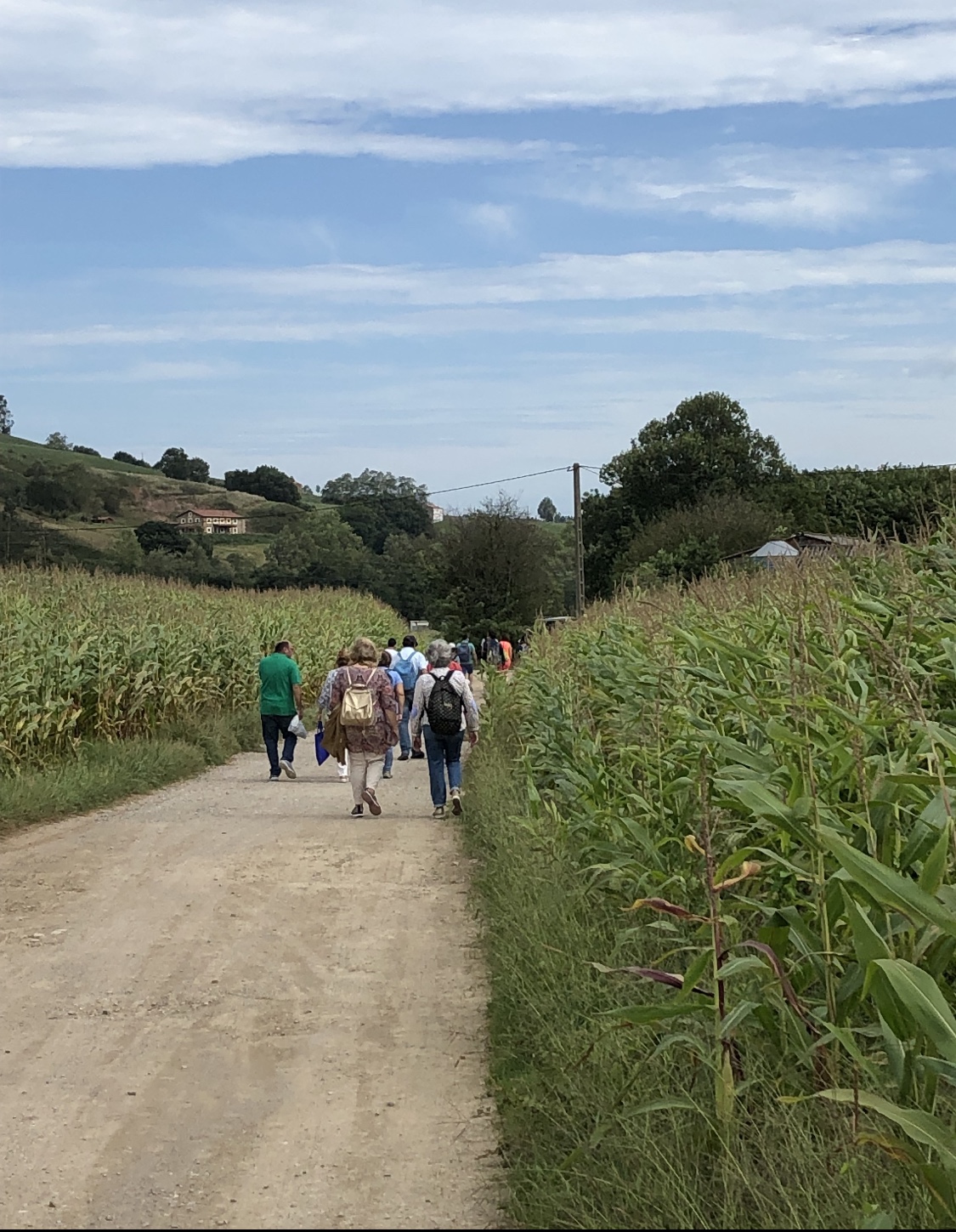 Territorio Rural Inteligente. – Javier Puente Redondo